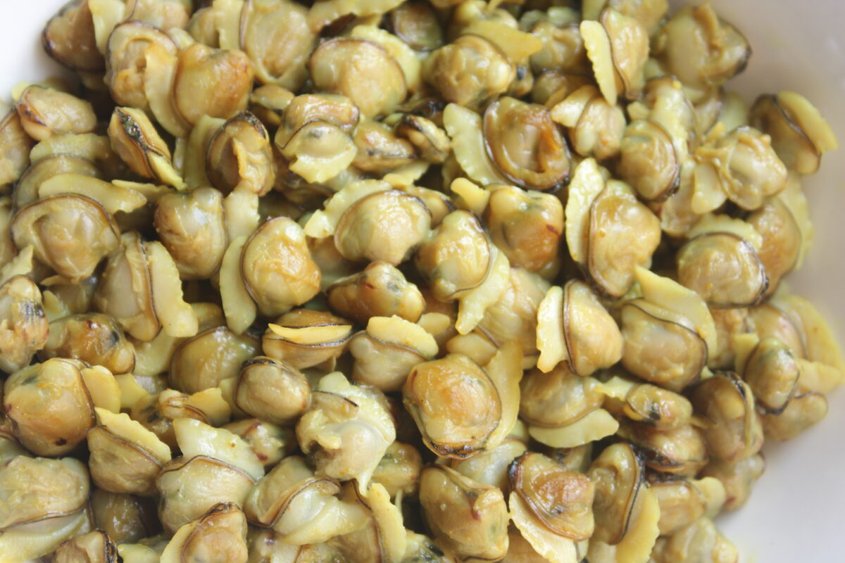 Thịt sò | Clam Meat | Thịt sò tươi ngon, giàu dinh dưỡng – hải sản tiện ...