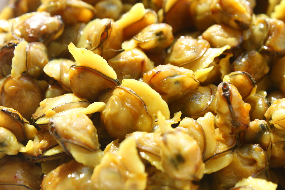 Thịt sò | Clam Meat | Thịt sò tươi ngon, giàu dinh dưỡng – hải sản tiện ...