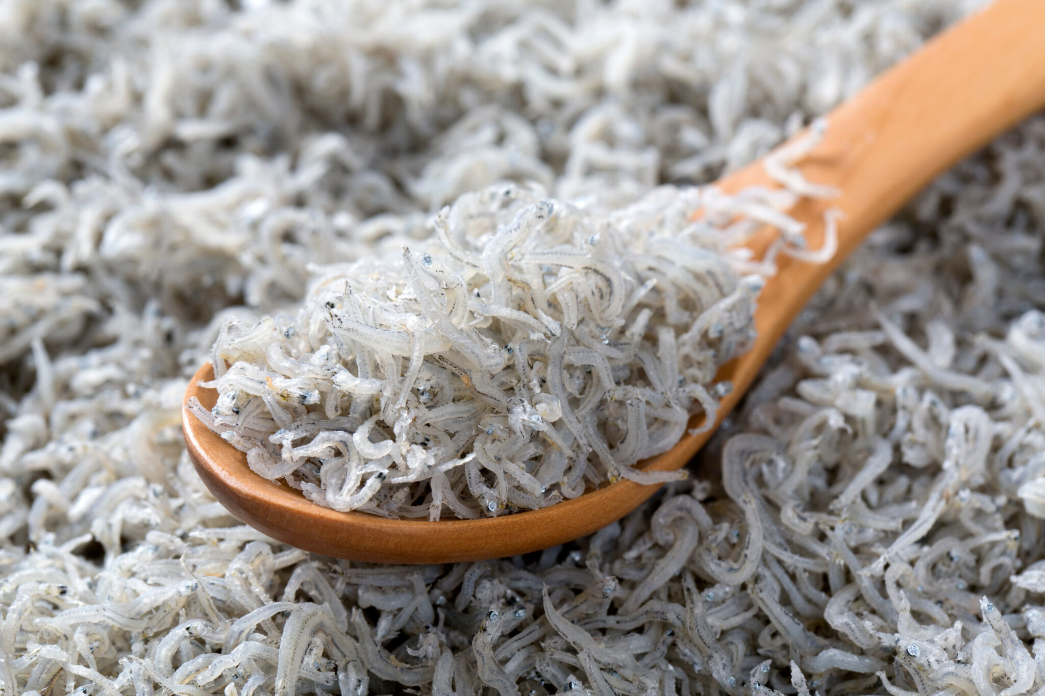 Cá cơm non khô | Dried Chirimen Anchovy (boiled/unboiled) | Cá cơm non ...