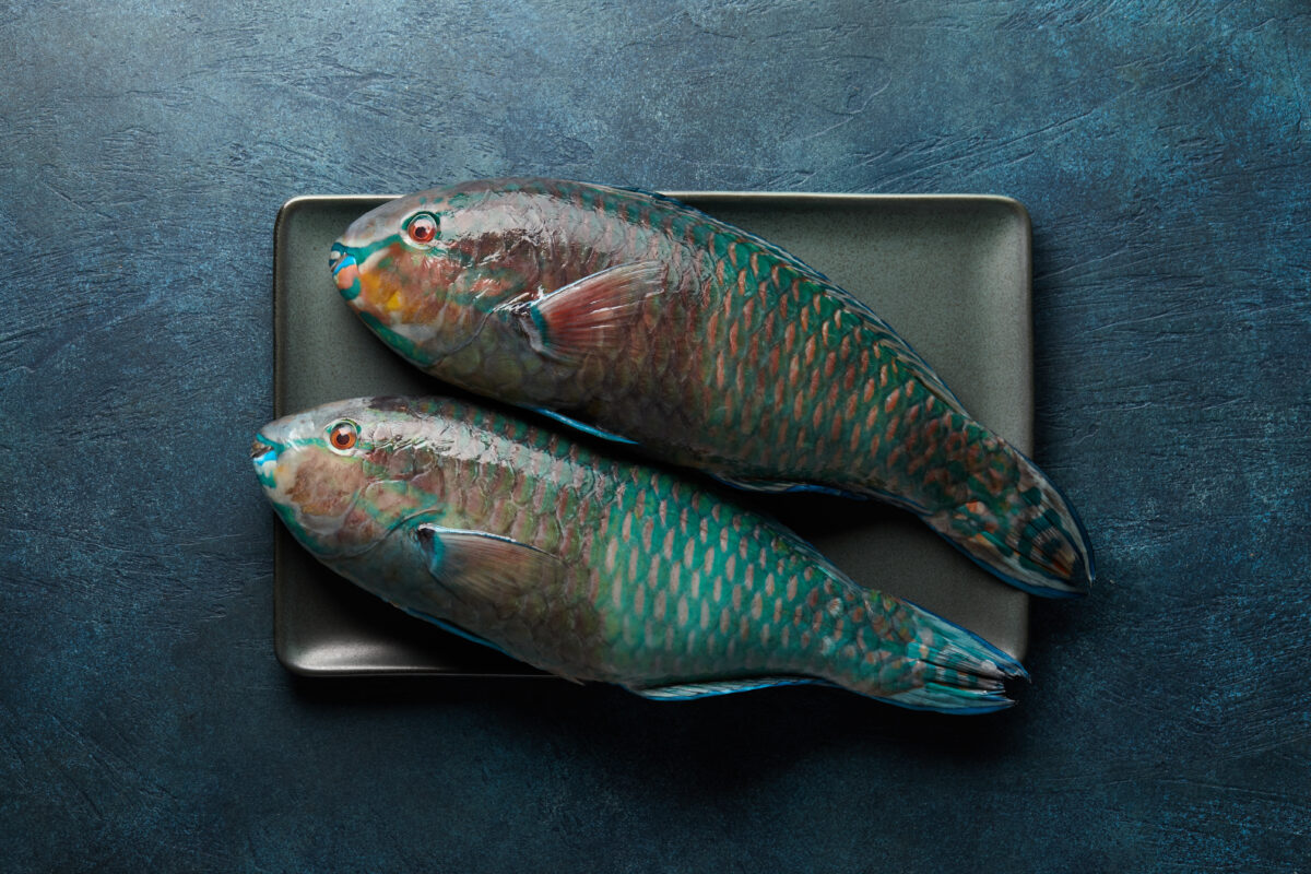 Parrot Fish - Saky Foods Corporation