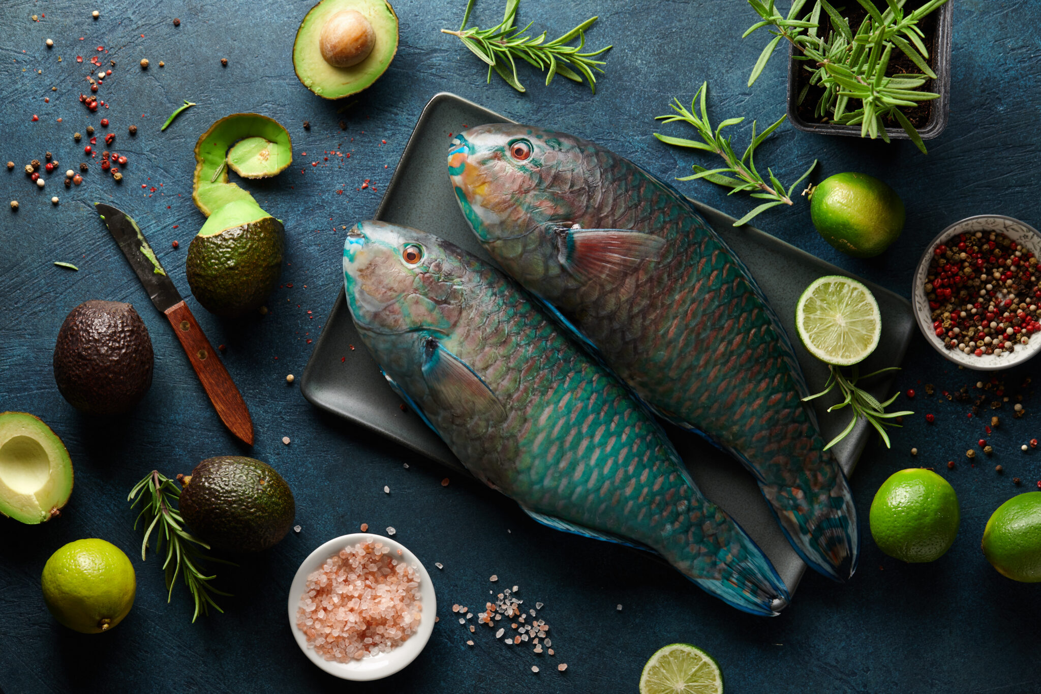 Cá mó | Parrot Fish | Cá mó tươi ngon, giàu dinh dưỡng – đặc sản biển ...