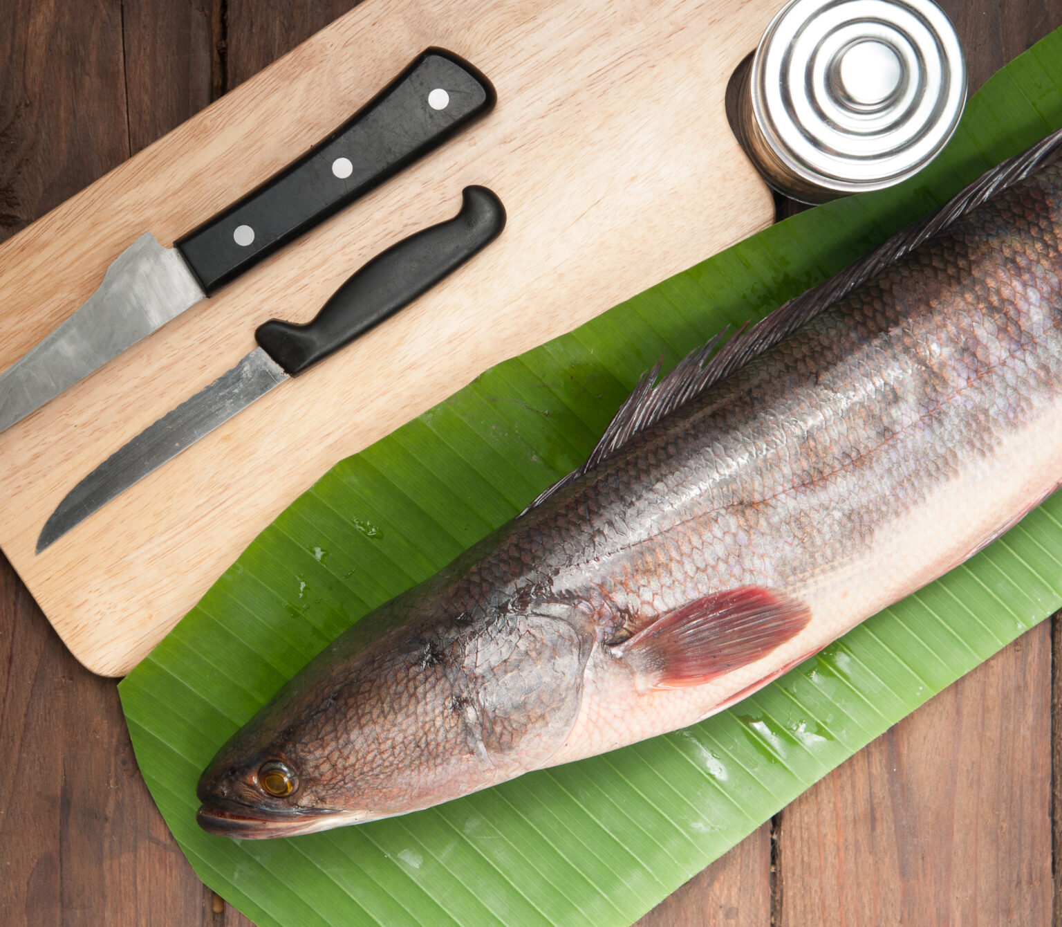 Snakehead Fish - Saky Foods Corporation