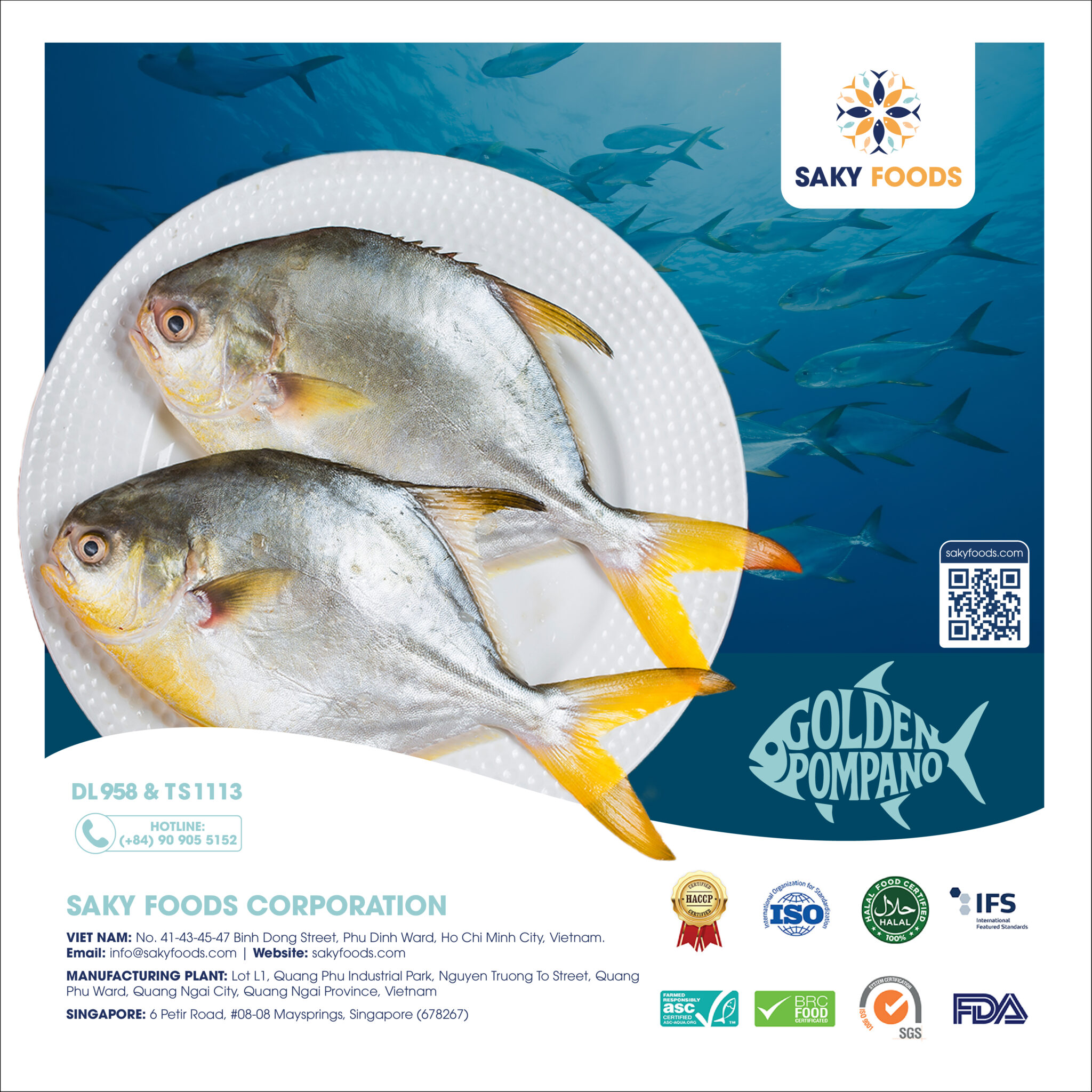 Golden Pompano Fish | Cá Chim Vây Vàng – Premium Seafood from Saky ...